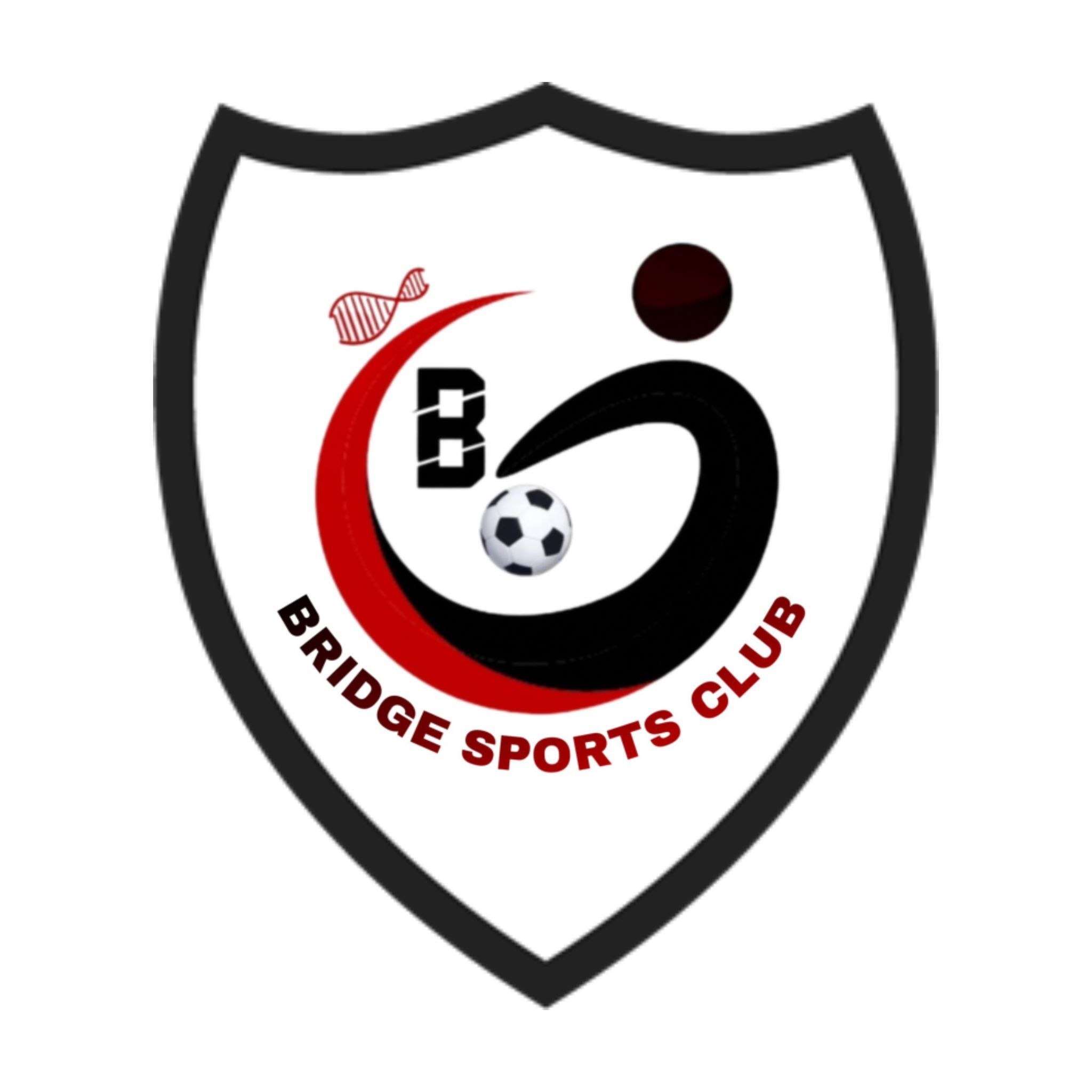 American Premier Soccer League