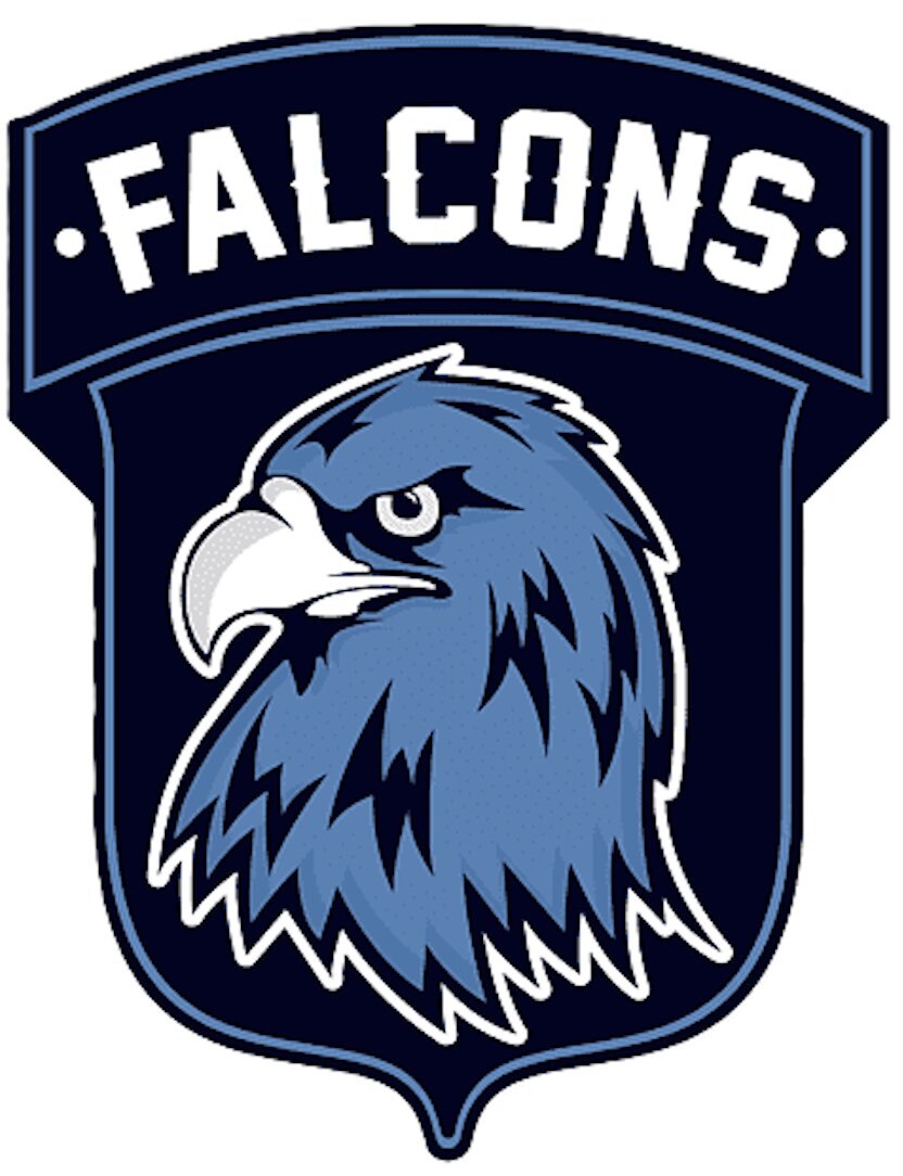 American Premier Soccer League